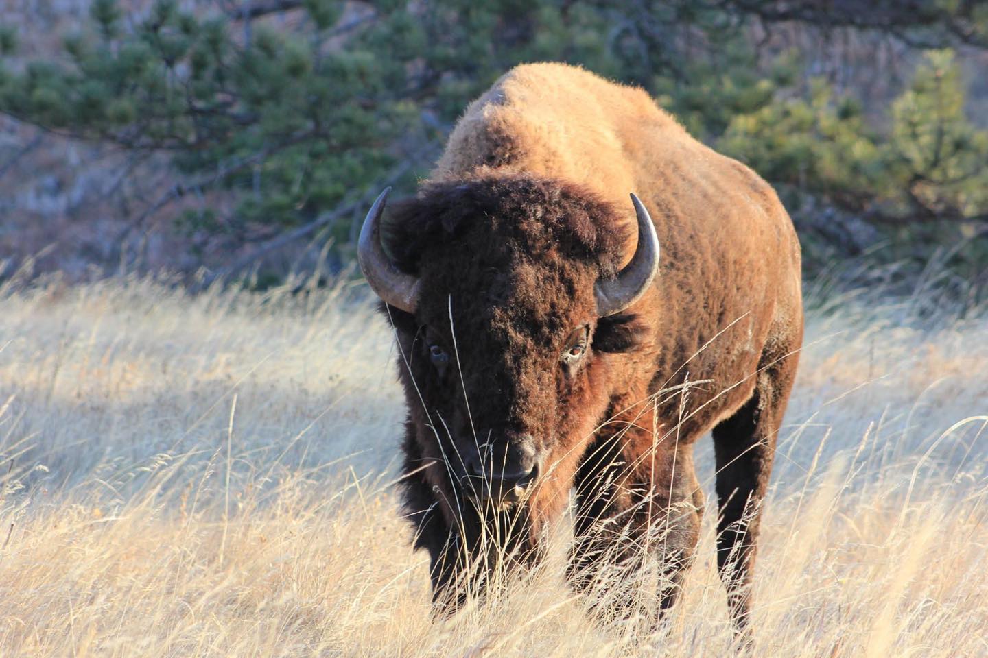 Gateway communities reap benefits of national park visitation ...