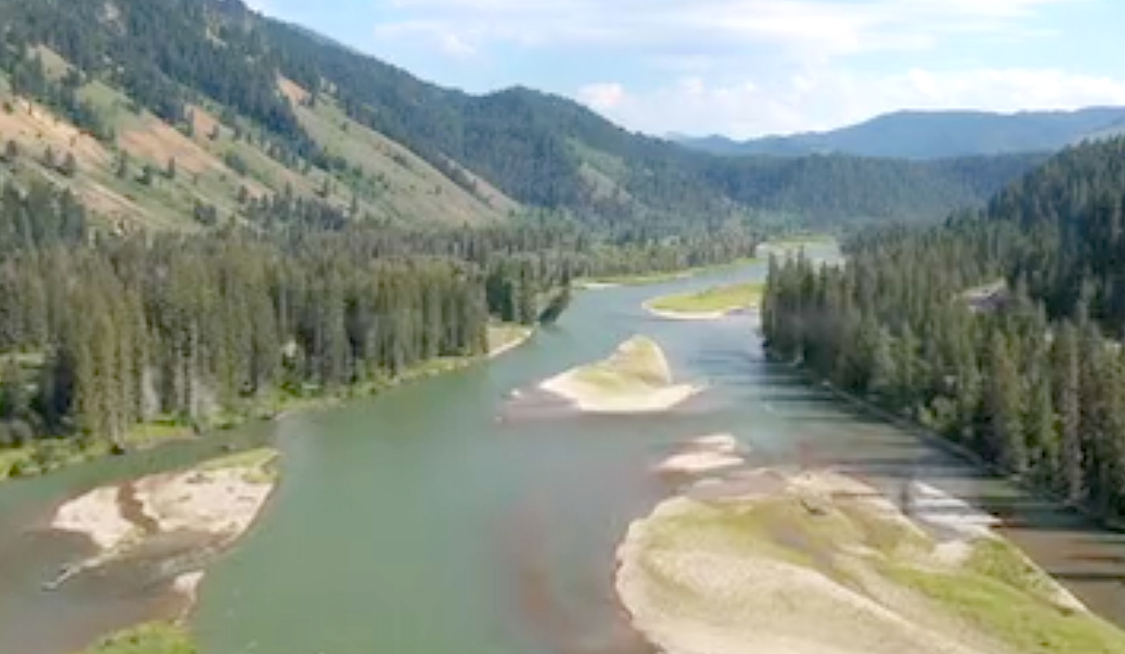 New film spotlights importance of Snake River Corridor to wildlife ...