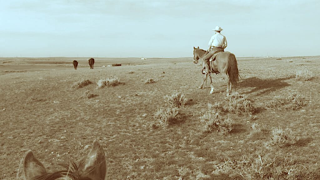 Wyoming Cowboy Hall of Fame adds Bob Lucas, Jim Maher - JacksonHolePress
